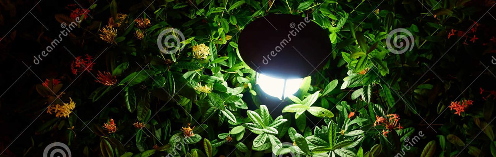 Improve Your Curb Appeal With These Landscape Lighting Ideas